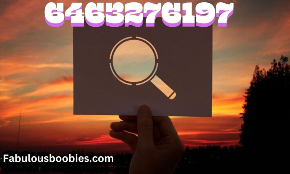 6463276197: Exploring Its Mystery and Meaning - Fabulaous Boobies