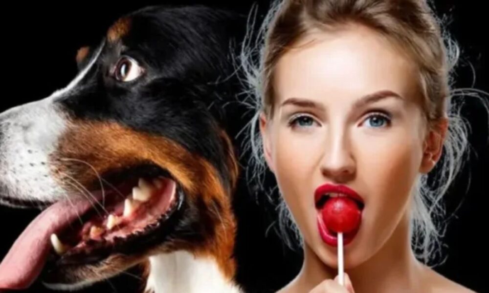 TickZoo Review: Safe, Natural Tick Prevention That Works - Fabulaous Boobies